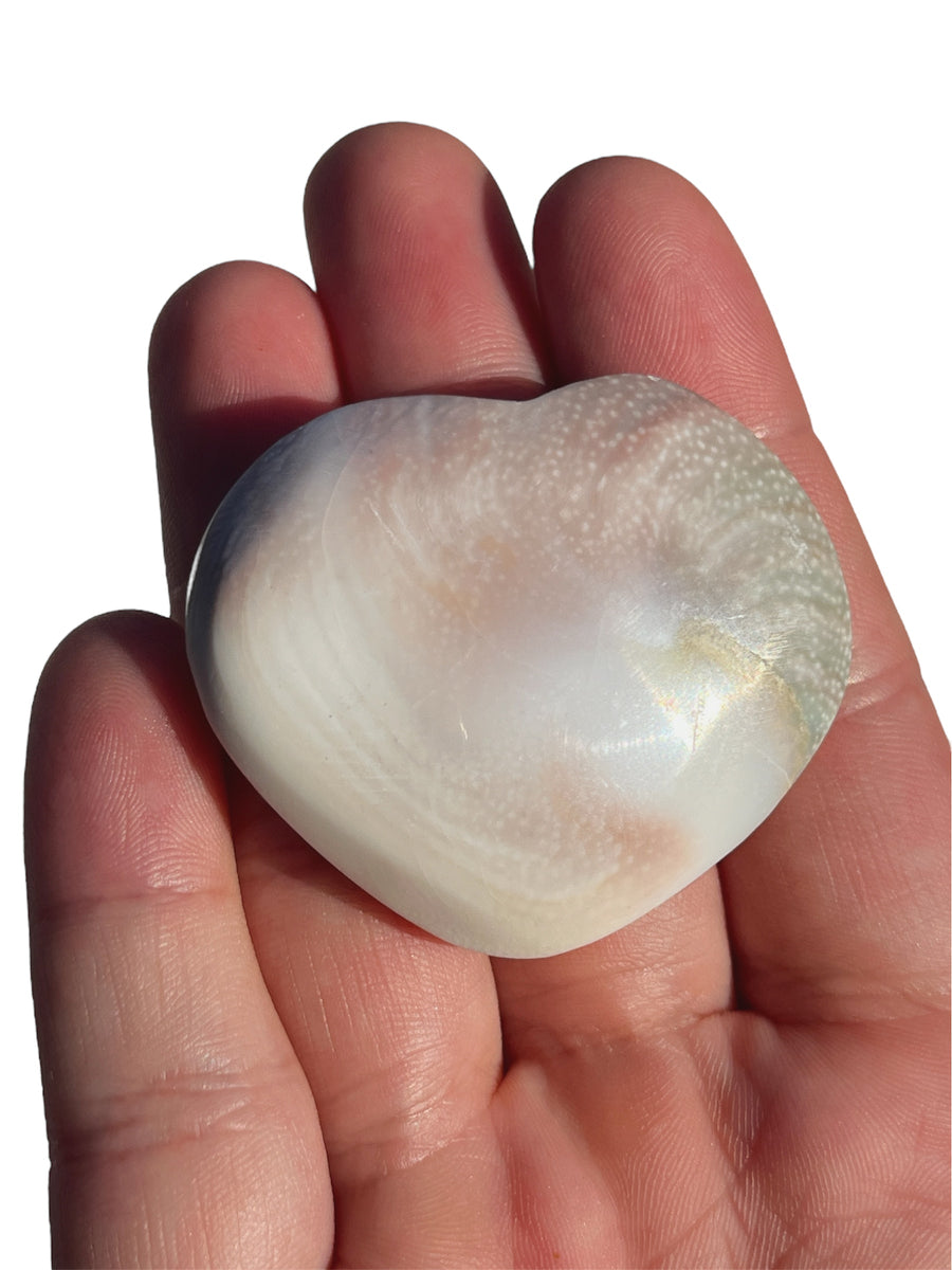 Shiva Shell Hearts NEW! – Angel Realm Co